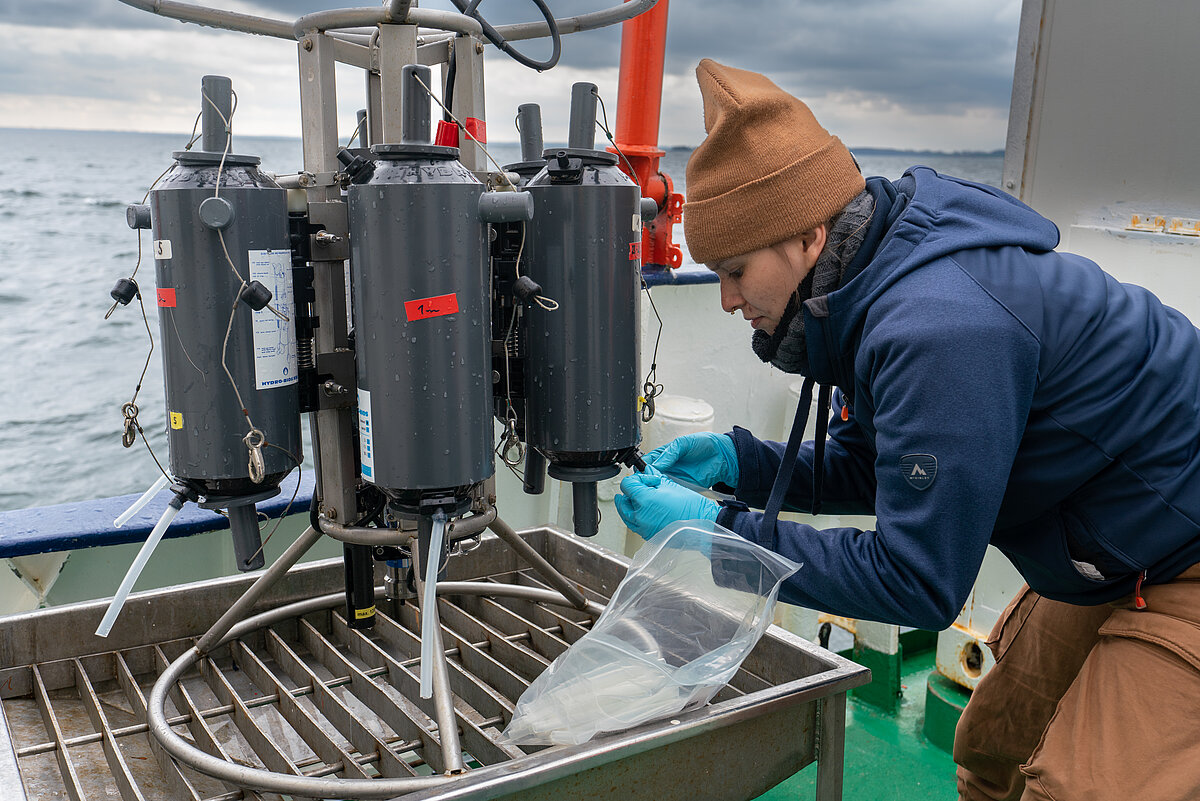 Searching for genetic traces in the Baltic Sea