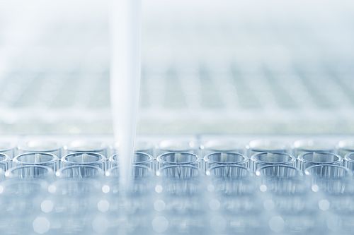 GEOMAR-Biotech launched - GEOMAR - Helmholtz-Zentrum für Ozeanforschung ...