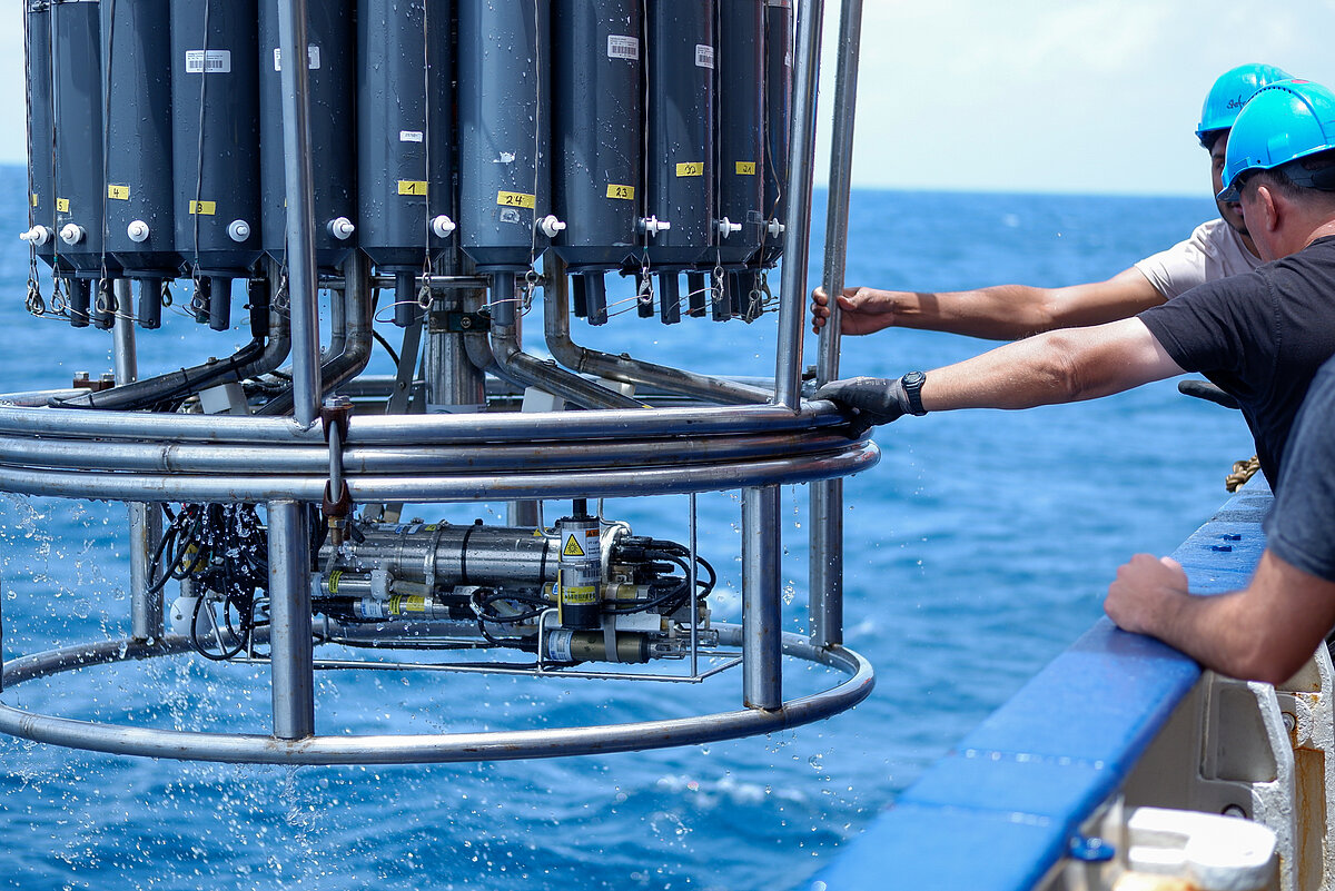 Ocean Eddies – the Food Trucks of the Sea