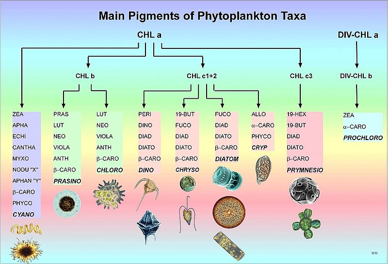 HPLC-Analyses - GEOMAR - Helmholtz-Zentrum für Ozeanforschung Kiel