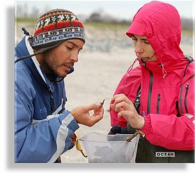 GAME_information for students - GEOMAR - Helmholtz-Zentrum für ...