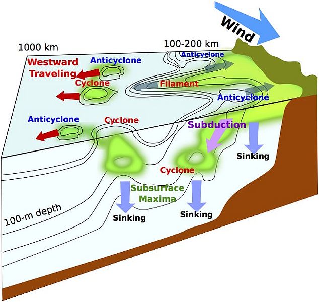 Mesoscale Eddies: The “Weather” of the Ocean - GEOMAR - Helmholtz ...