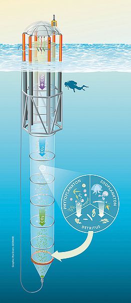 KOSMOS Mesocosms - GEOMAR - Helmholtz-Zentrum für Ozeanforschung Kiel