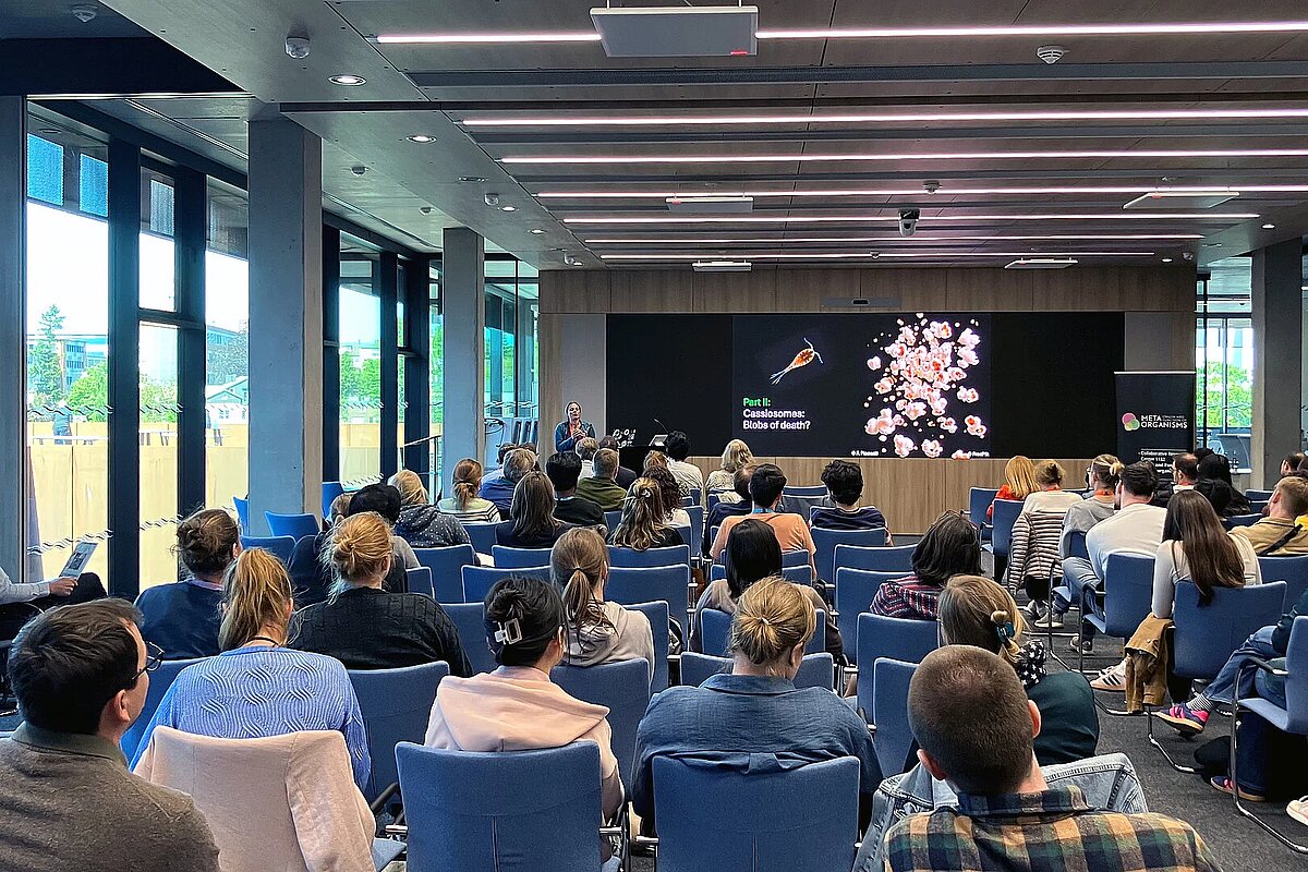 Cellular foundations of symbioses