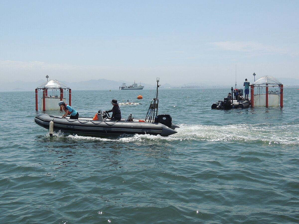 Research on the ocean’s most productive areas