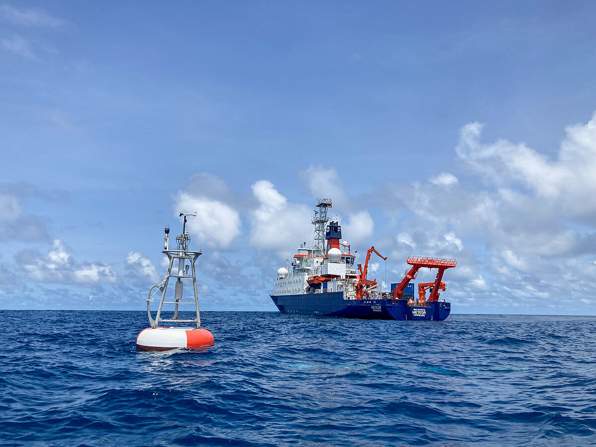 Complex Drivers of Phytoplankton Bloom