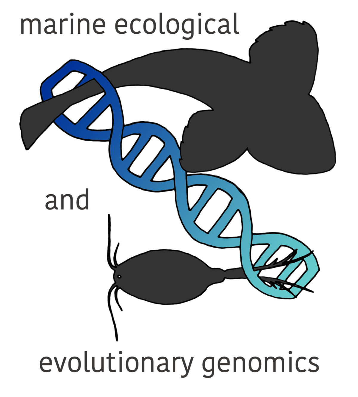 Research Group - Marine Ecological Genomics - GEOMAR - Helmholtz ...