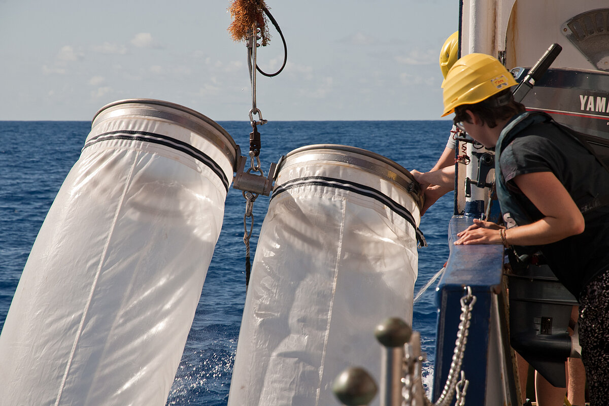 A Christmas plastic chase in the North Atlantic