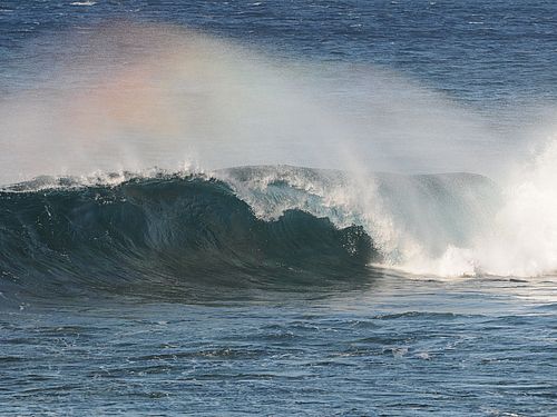 An all-hands-on-deck moment to preserve the ocean - GEOMAR - Helmholtz ...