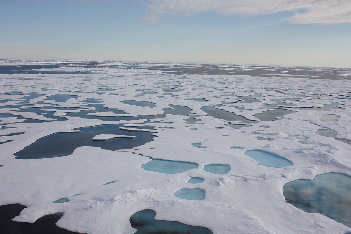 Life under the ice during the polar night