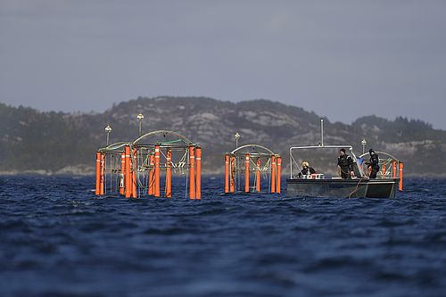 Back in the Fjord - GEOMAR - Helmholtz-Zentrum für Ozeanforschung Kiel