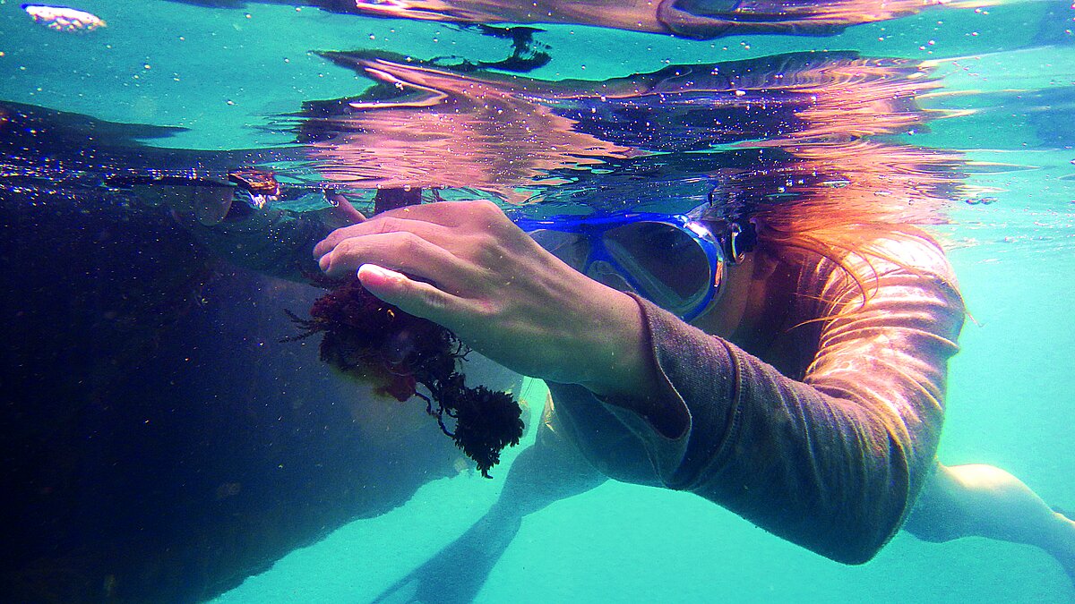 May to October: GAME at SEALEVEL