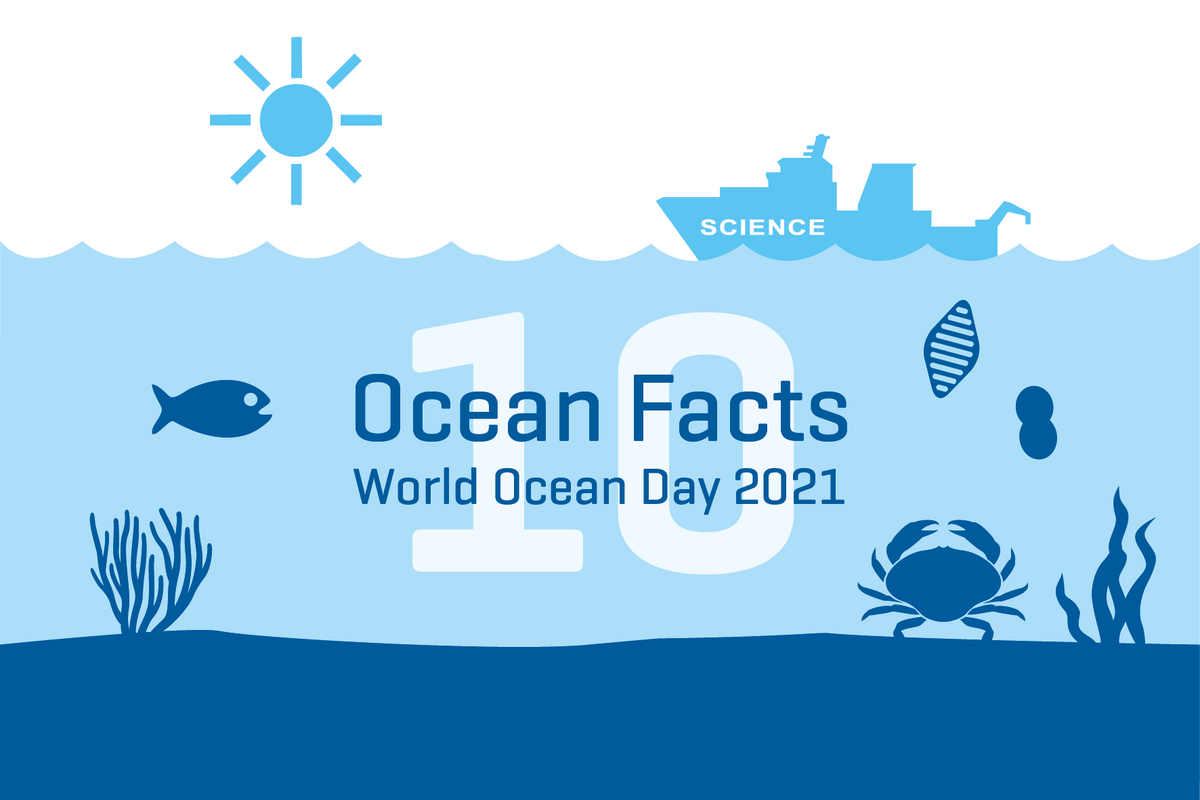 10 Facts about the Ocean