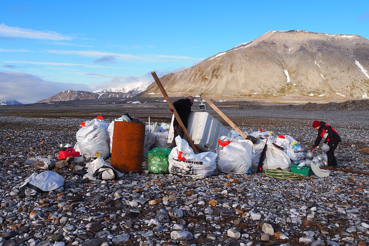 Climate Change and Pollution Affecting Life in the Arctic