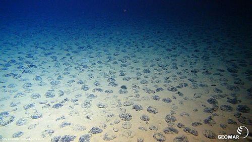 Der Meeresboden als Rohstoffquelle der Zukunft - GEOMAR - Helmholtz ...