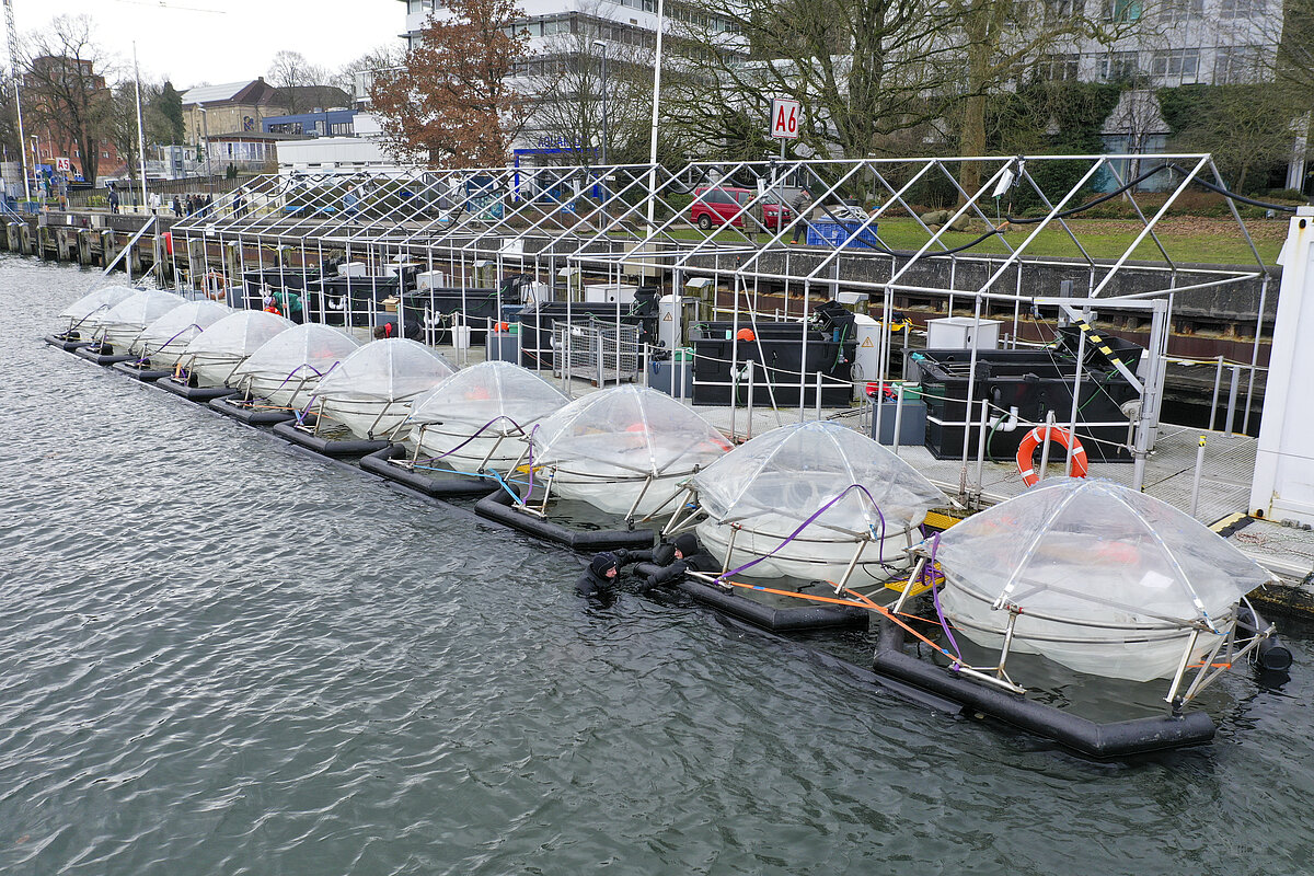 Storing carbon dioxide with the help of the ocean – but safely