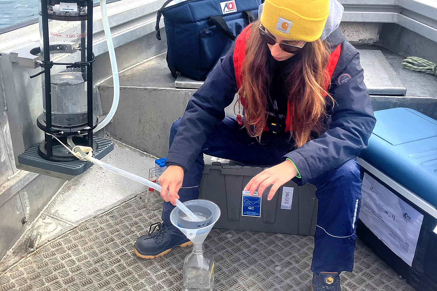 Ocean Alkalinity Enhancement