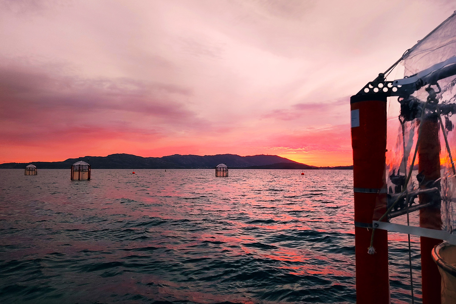 Ocean Alkalinity Enhancement