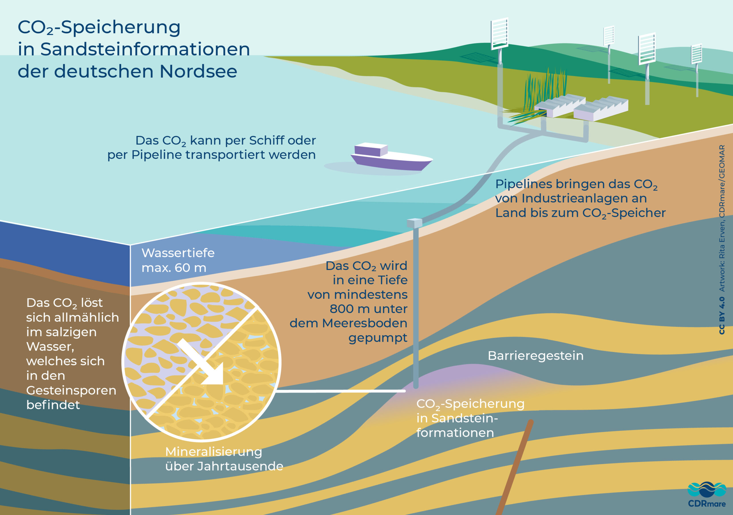 Kohlenstoffspeicherung im Meeresboden