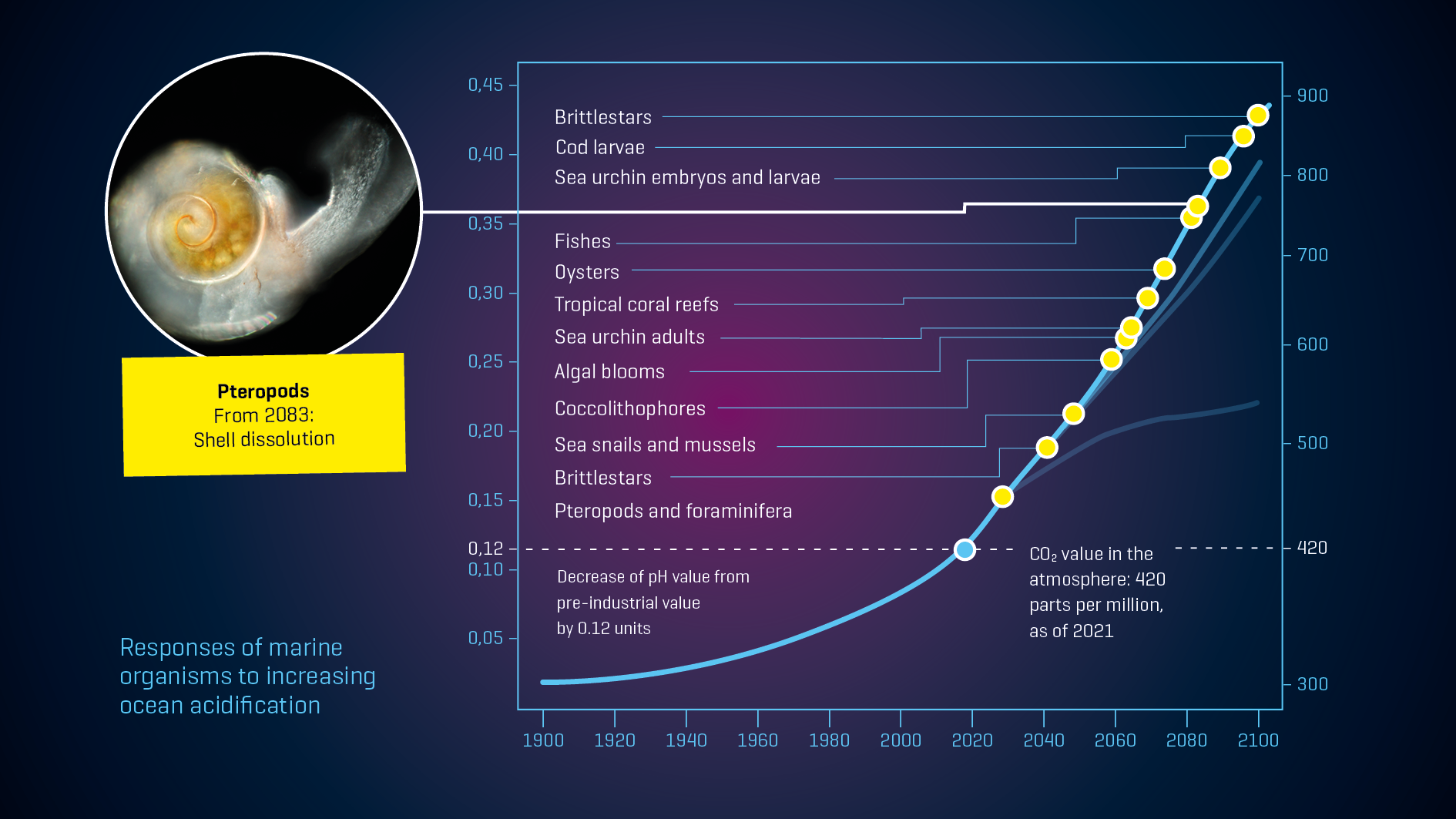 Ocean Acidification