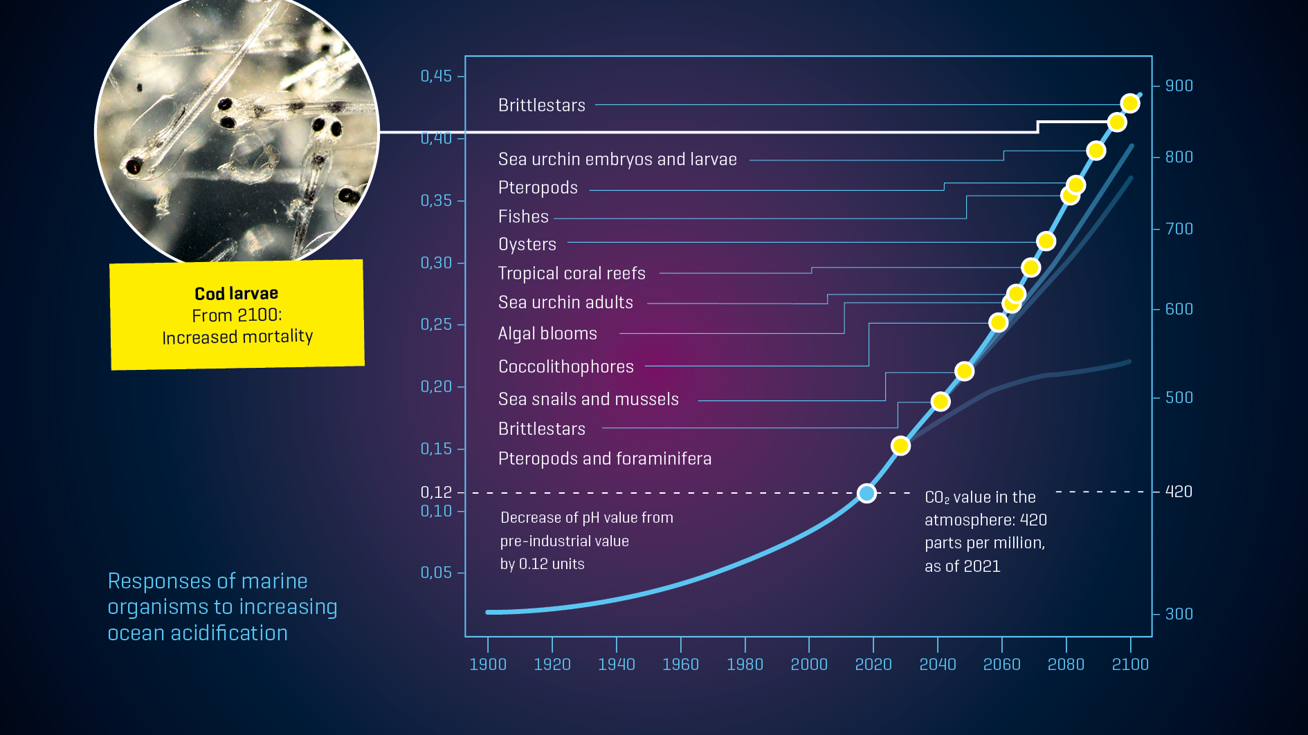 Ocean Acidification