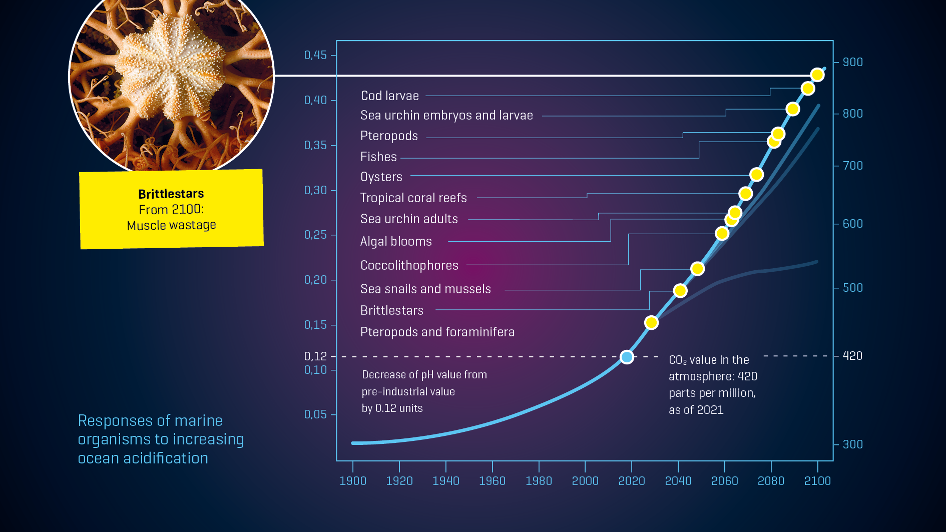 Ocean Acidification