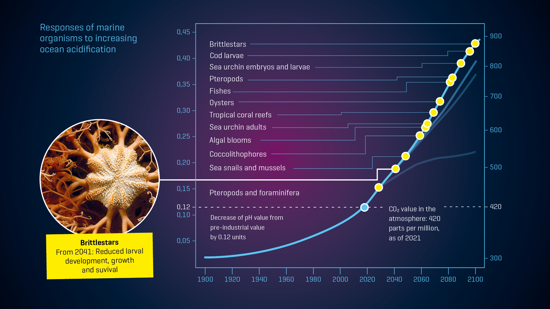 Ocean Acidification