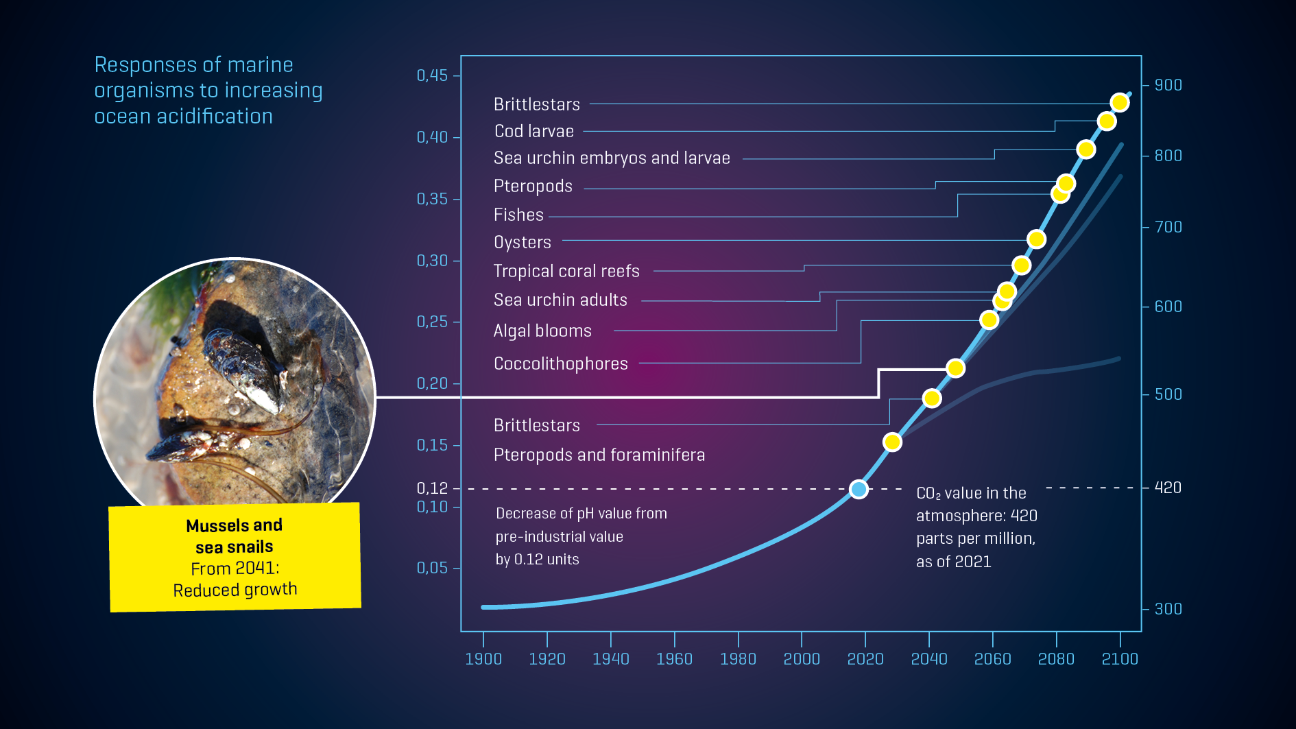 Ocean Acidification