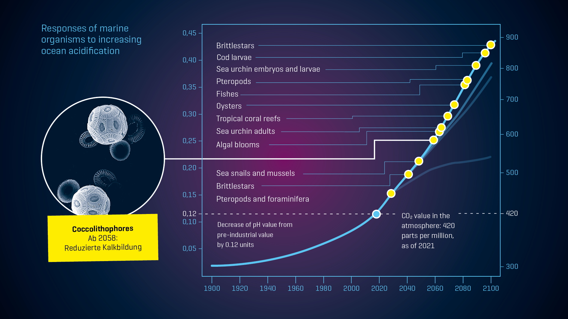 Ocean Acidification