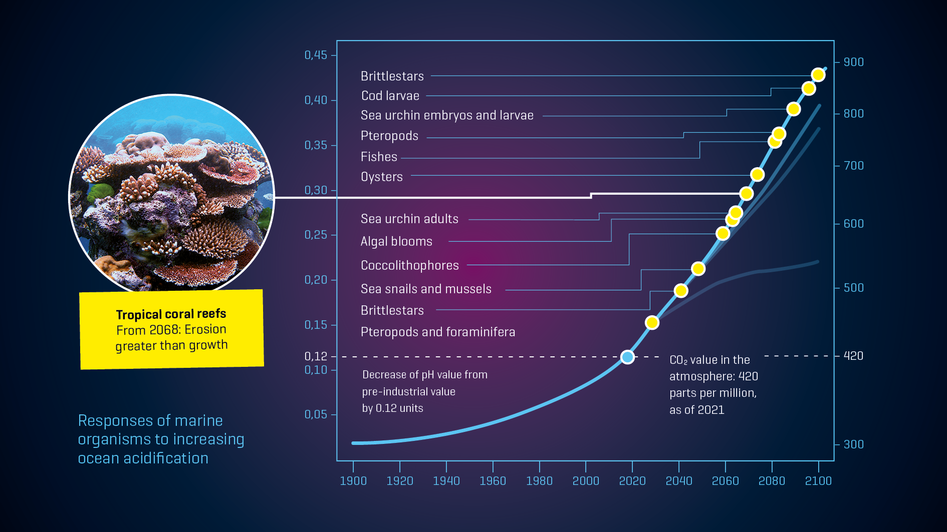 Ocean Acidification