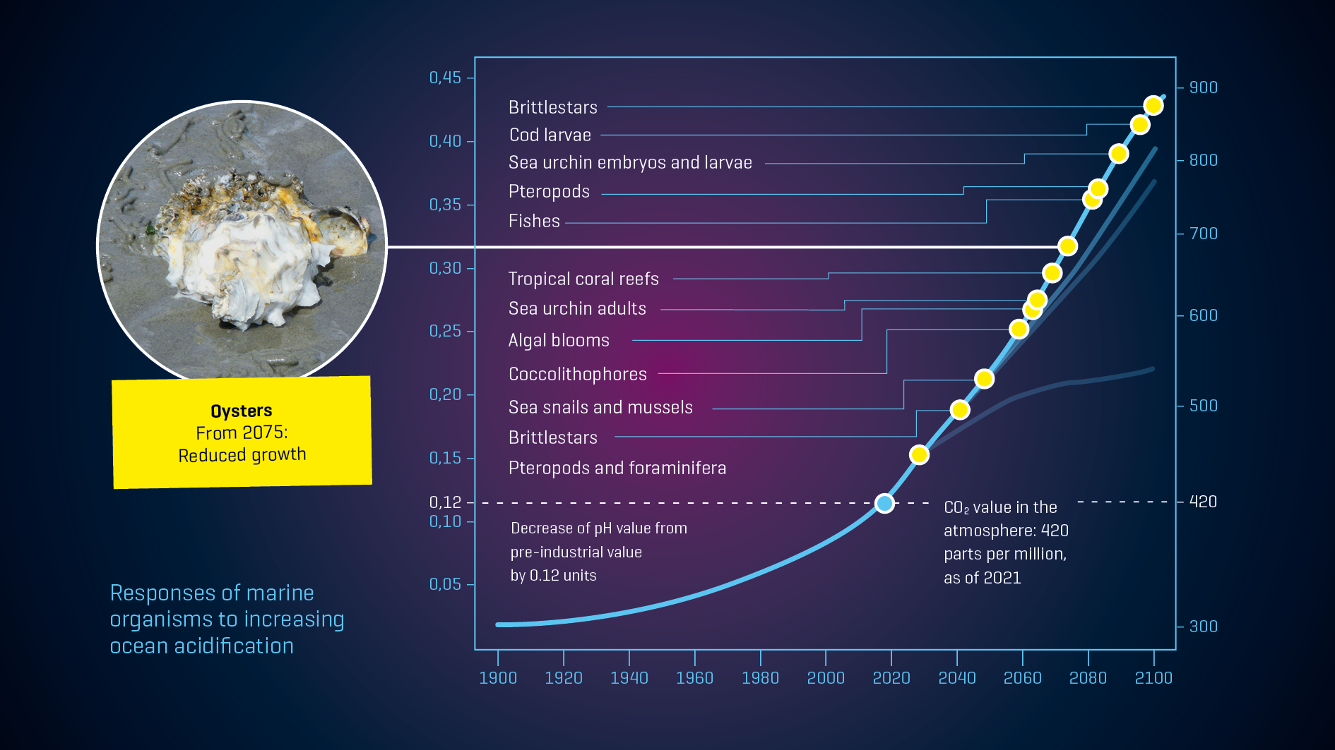 Ocean Acidification