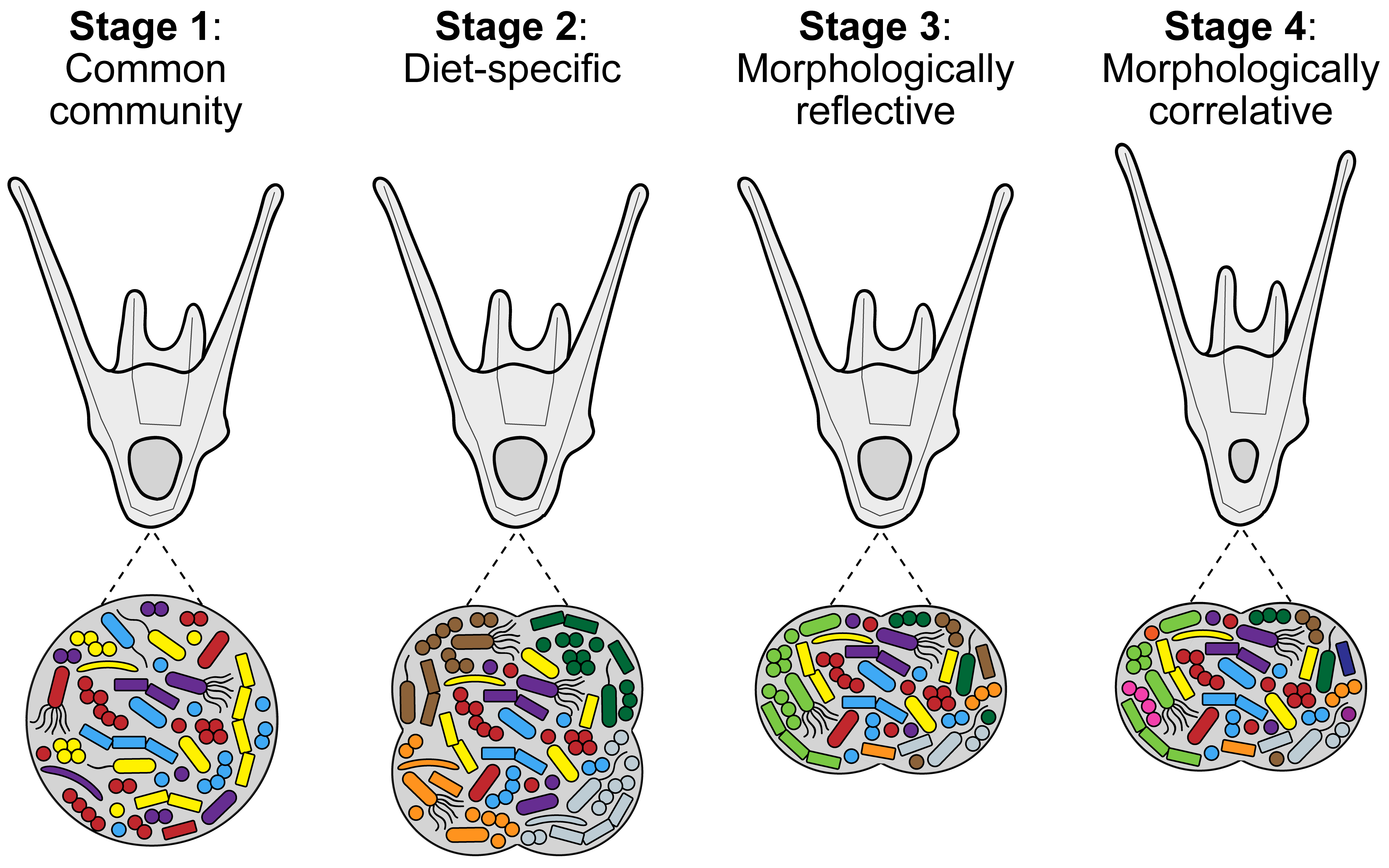 RT2 Sponges responses