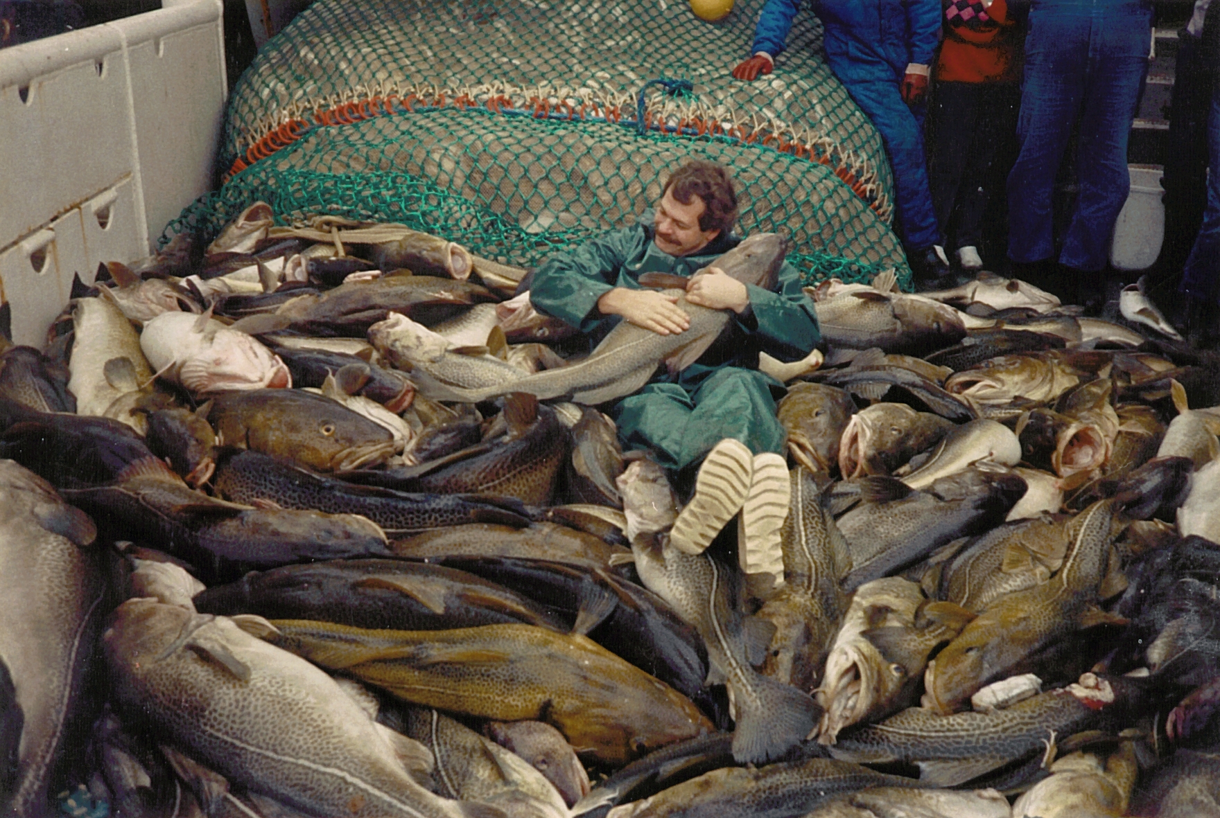 “Shrinking” Cod: How Humans have altered the Genetic Make-Up of Fish