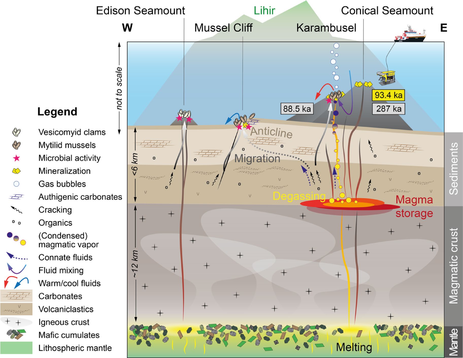 Discovery in the Deep Sea: Unique Habitat at Hydrothermal Vents